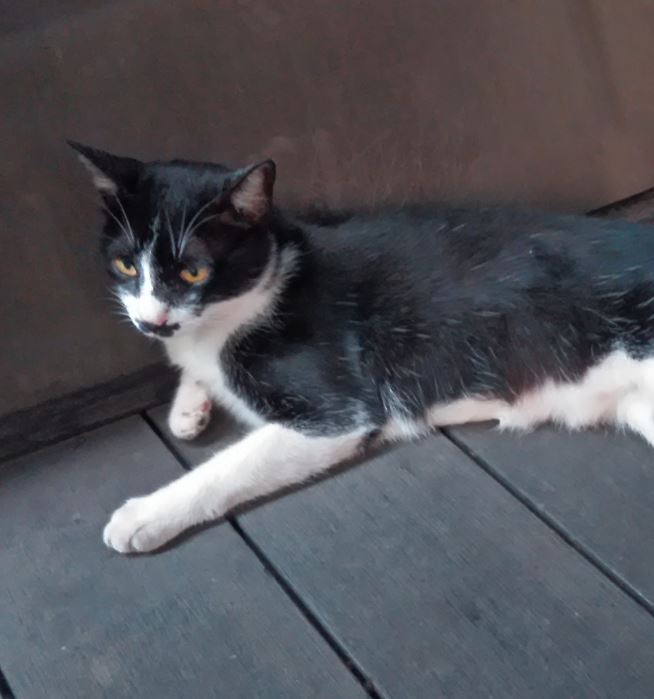 yt, Author at EXP.GG